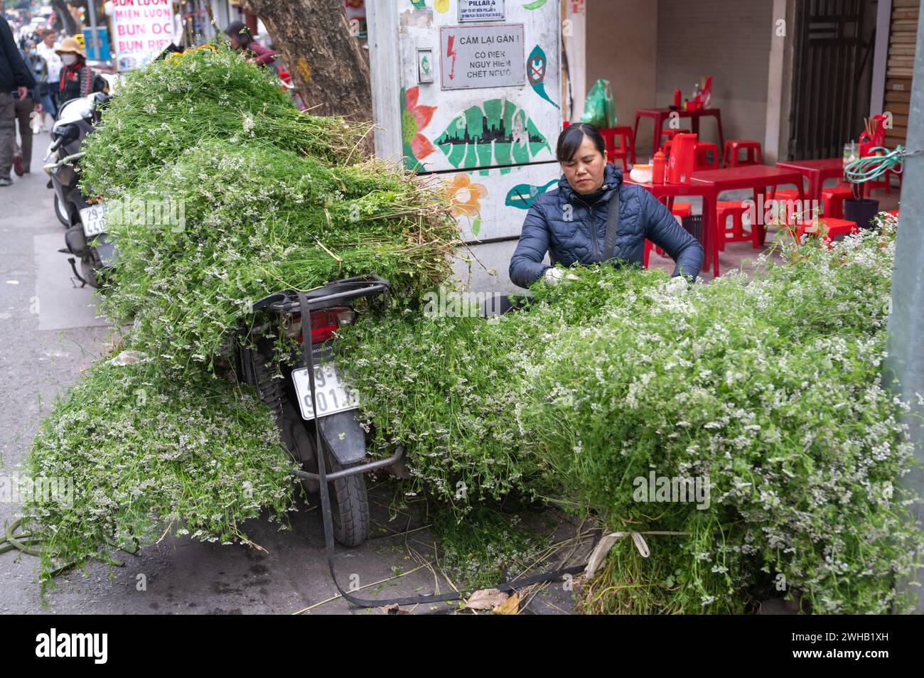 Tet, short for Tet Nguyen Dan, the most important celebration in ...
