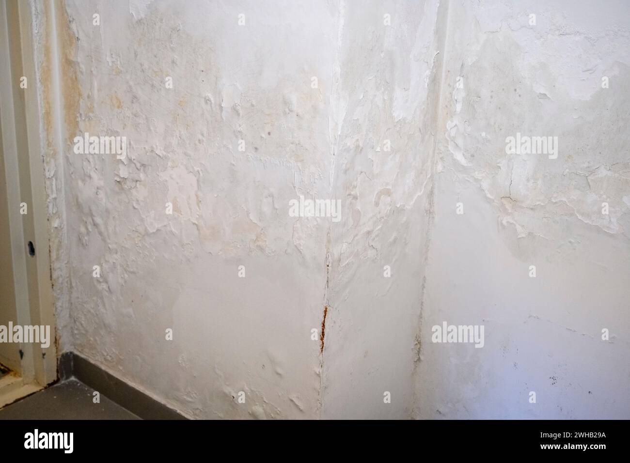 Paint is peeling off an interior wall this was caused by dampness due ...