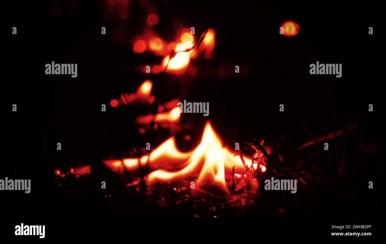 The life of savages hi-res stock photography and images - Alamy