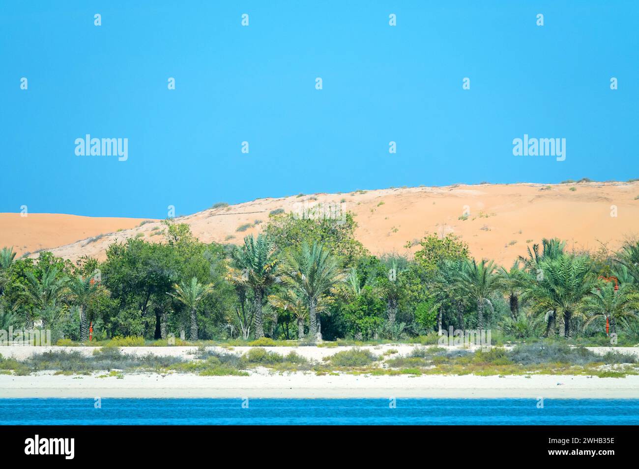 Abu Dhabi, Arab Emirates . Seaside park, palm grove, sand dunes in ...