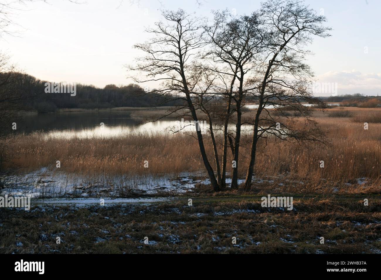 Inland water bodies hi-res stock photography and images - Alamy