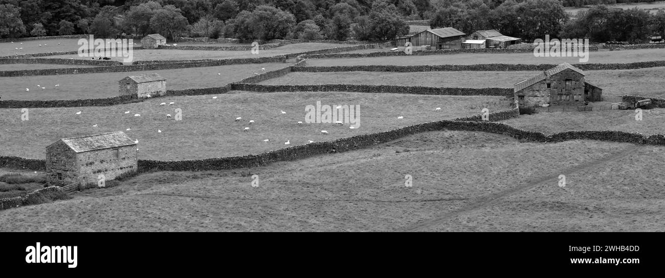 Stone barns and sheep at Gunnerside village, Swaledale; Yorkshire Dales ...