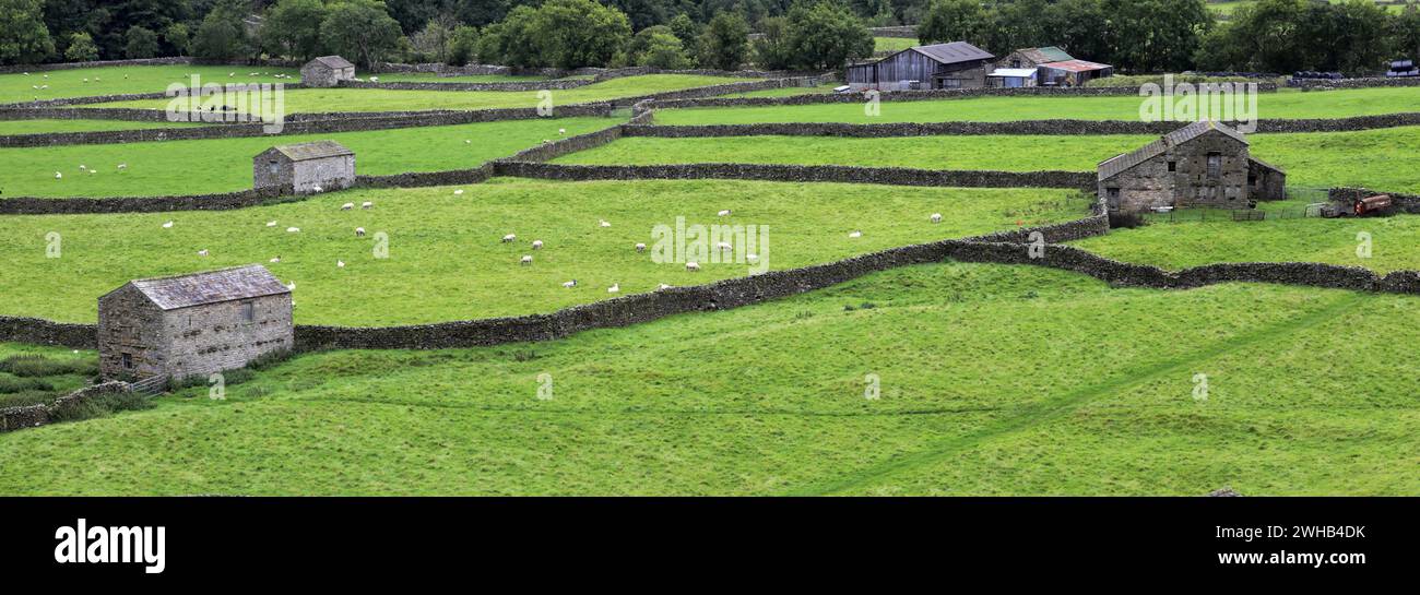 Stone barns and sheep at Gunnerside village, Swaledale; Yorkshire Dales ...