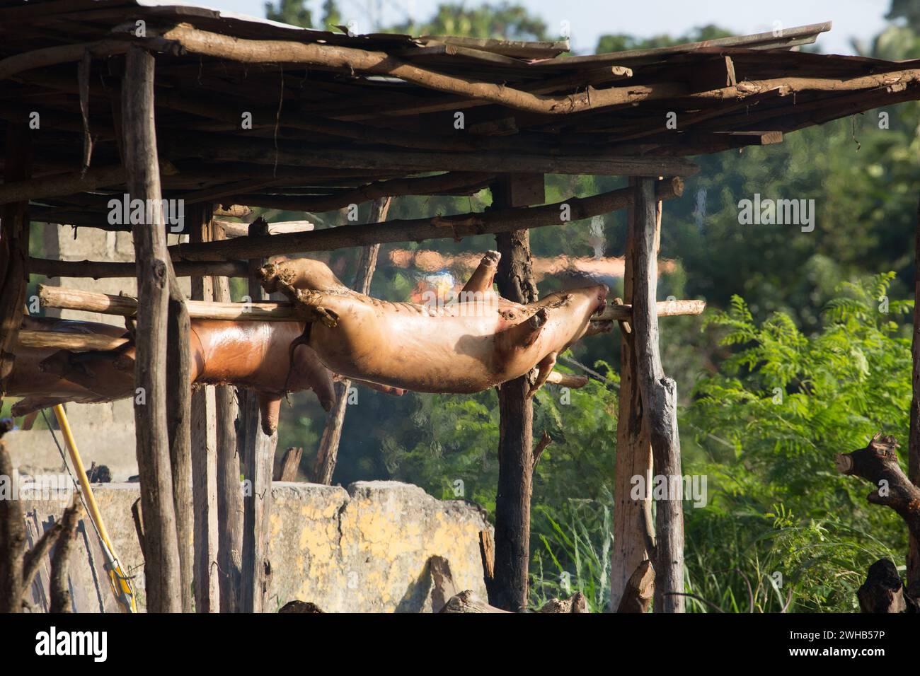 Pig cooking over open fire hi-res stock photography and images - Alamy