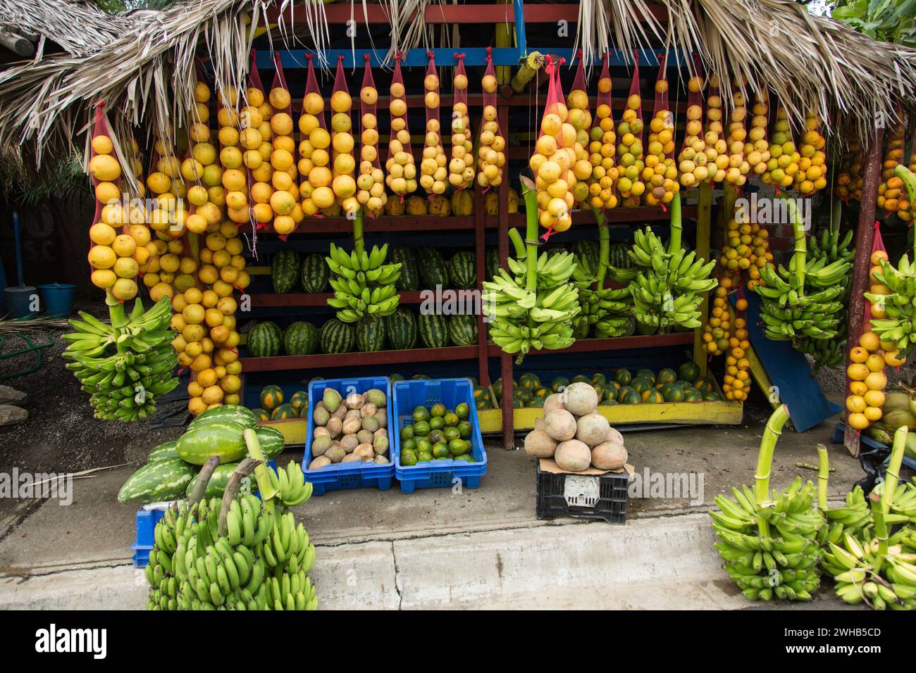 Colorful roadside fruit stand with a variety of tropical fruits on the ...