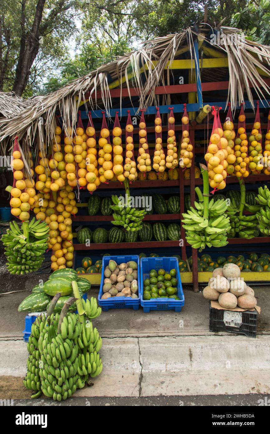 Colorful roadside fruit stand with a variety of tropical fruits on the ...