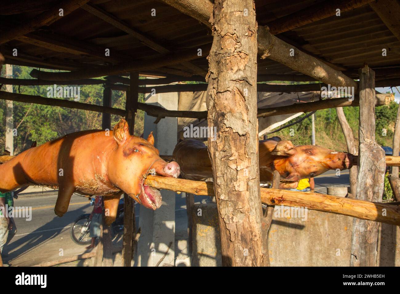 Haina hi-res stock photography and images - Alamy