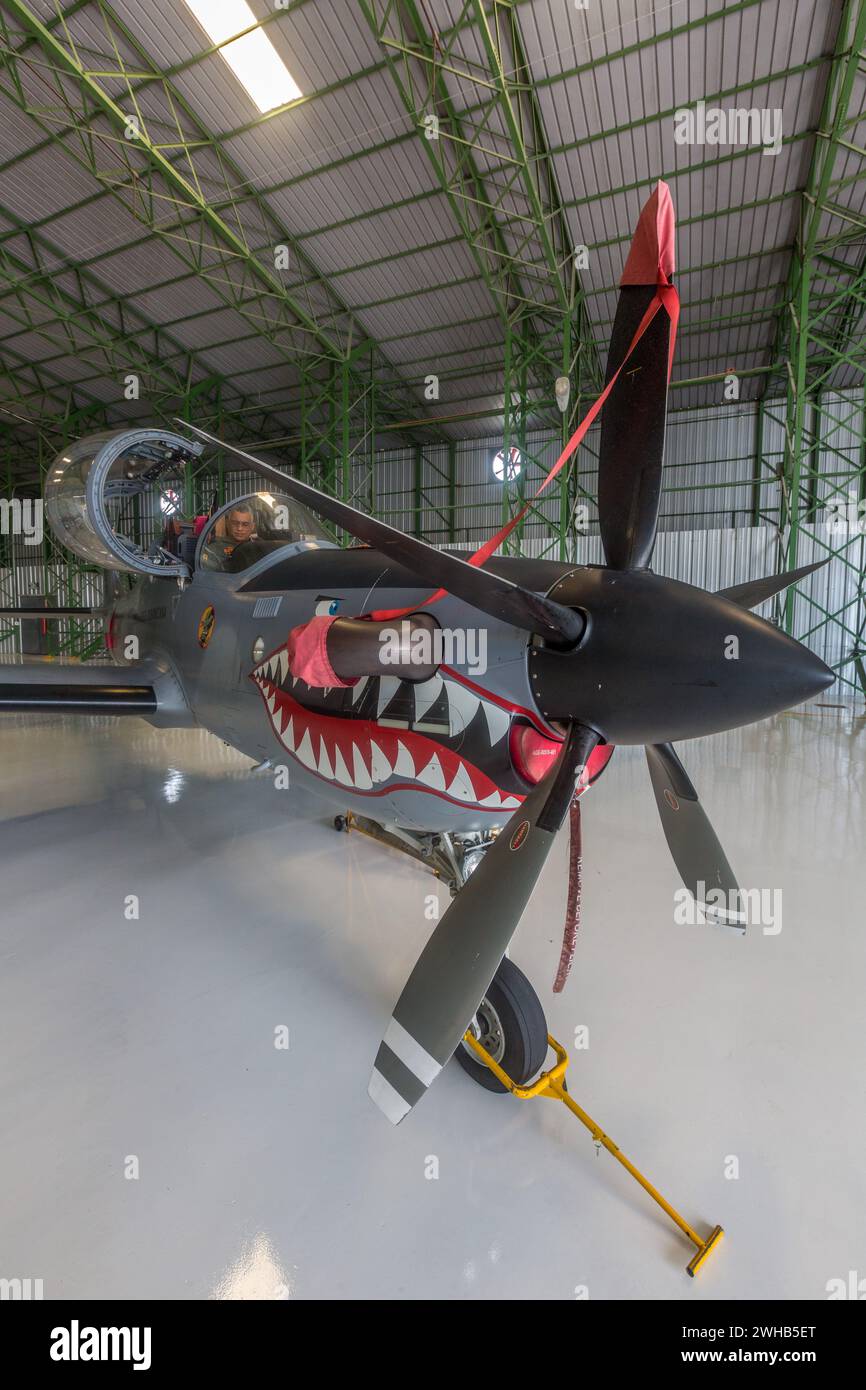 A Dominican Air Force pilot in the cockpit of a Super Tucano fighter ...