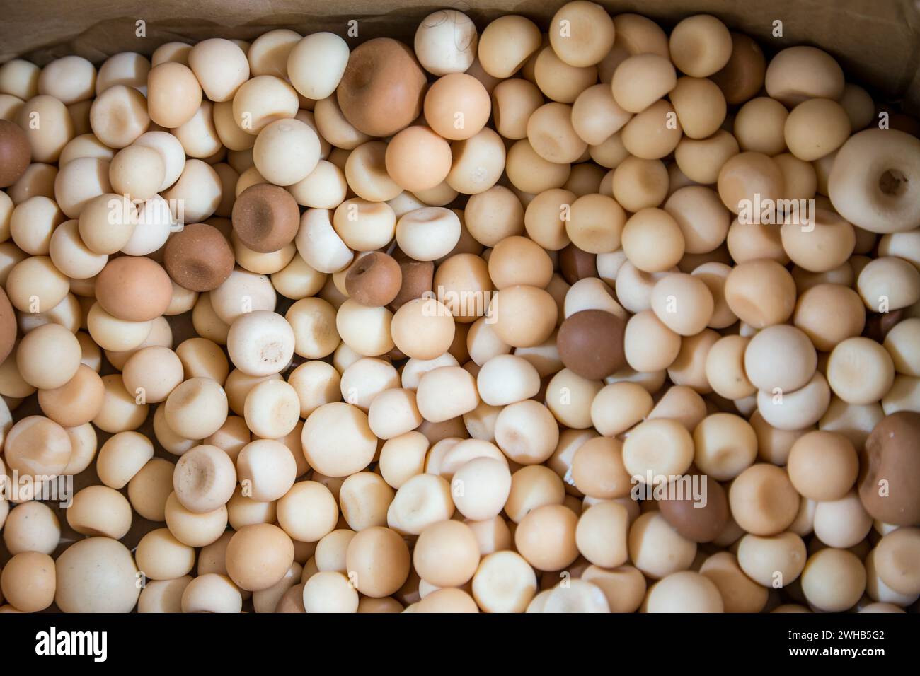 A bin of the heads for Dominican faceless dolls in a home workshop in ...