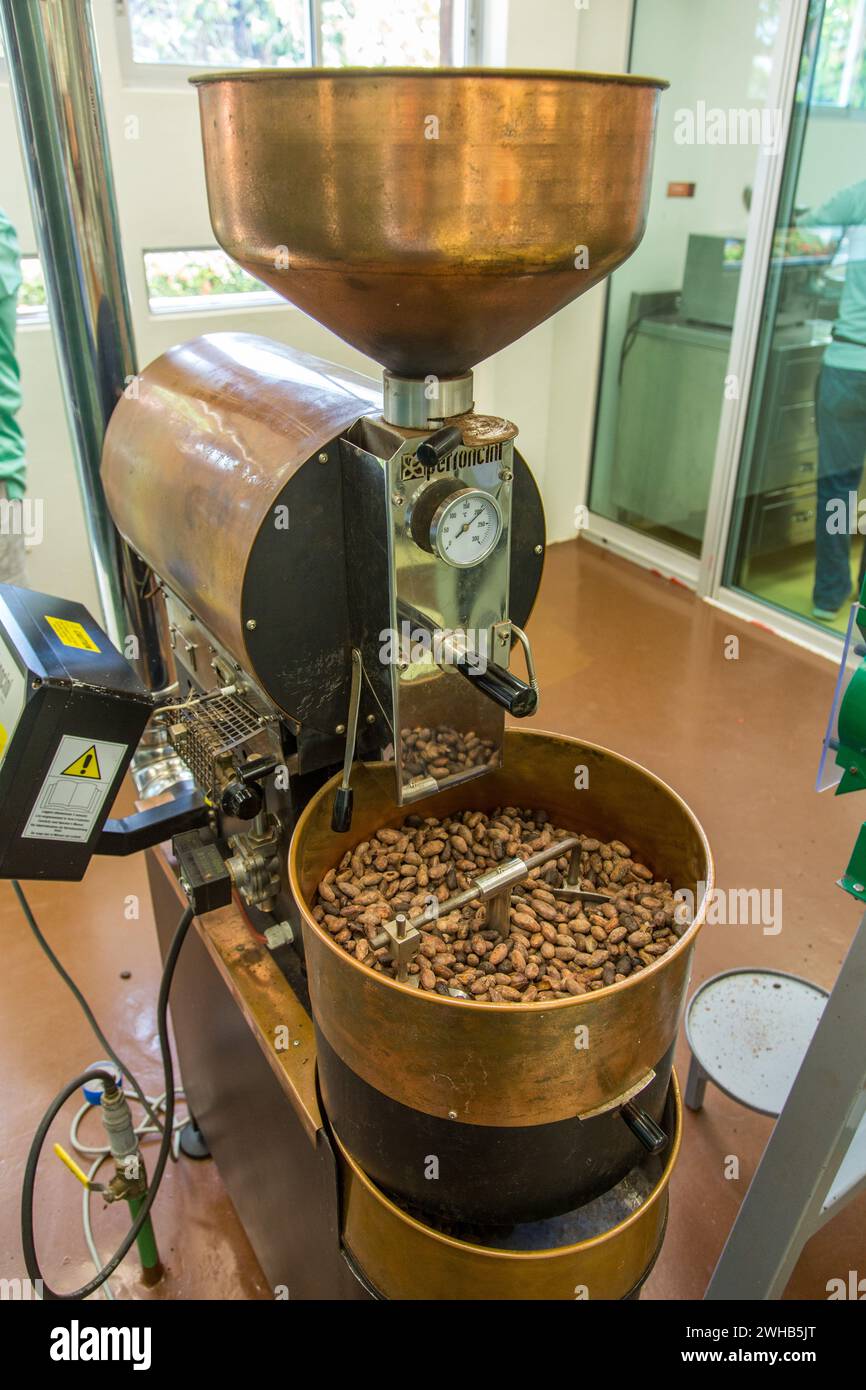 A machine for processing cacao beans to make chocolate on a cacao ...