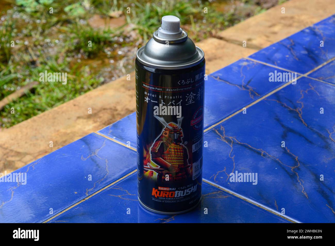 january 20 2023, wonosobo indonesia. close up in a pilox. photo taken ...