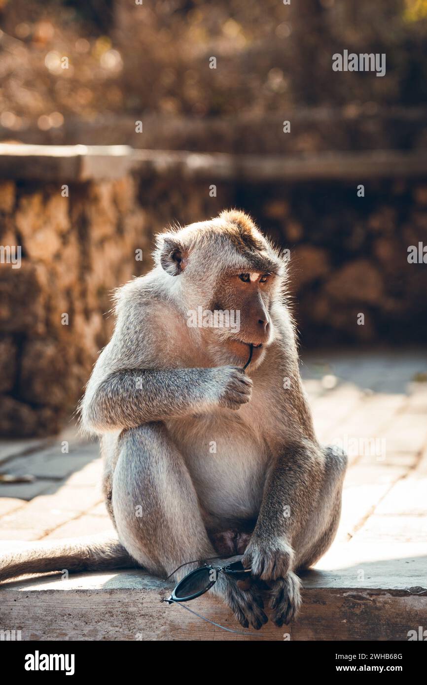 île paradisiaque hi-res stock photography and images - Alamy