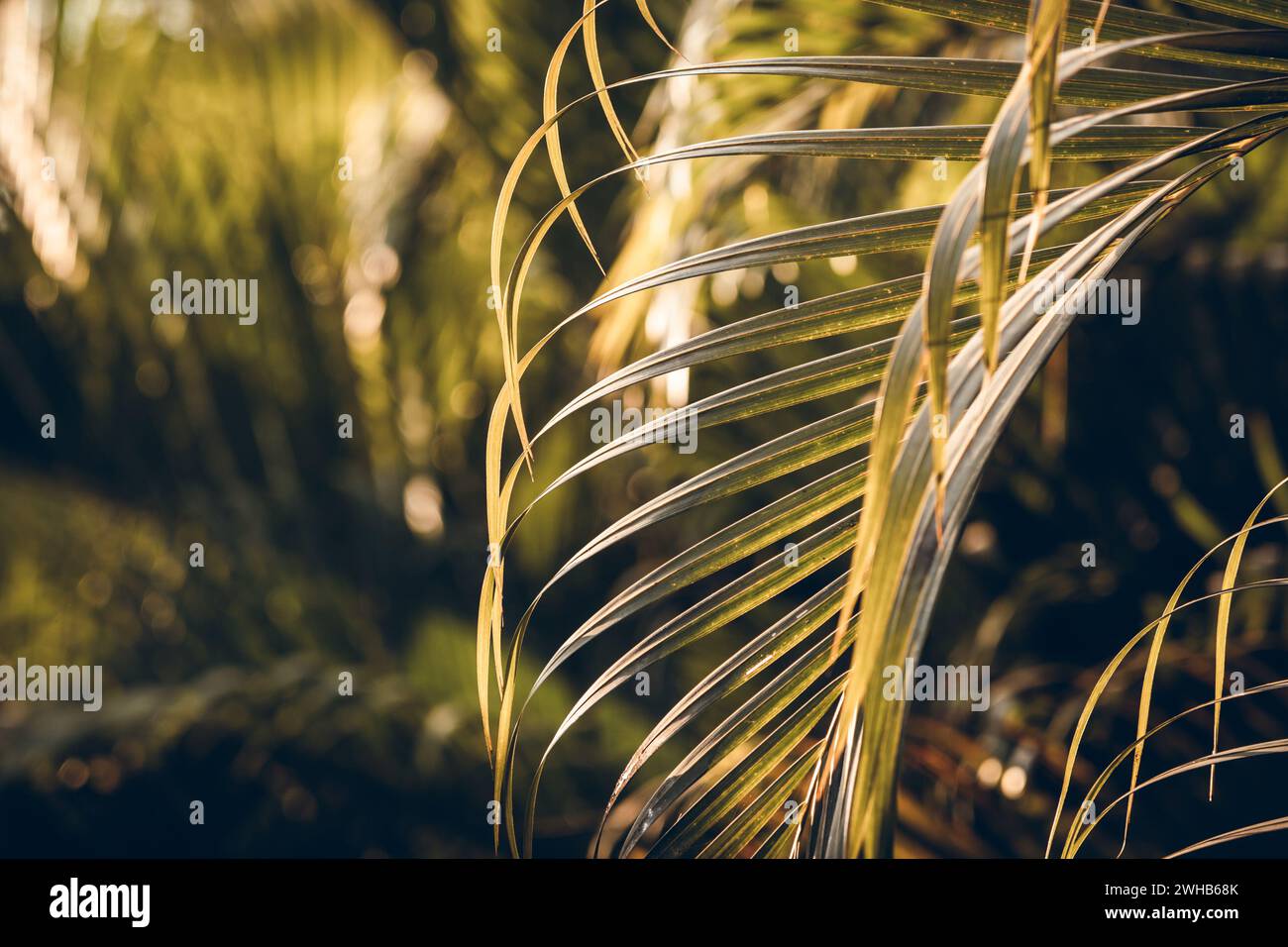 Paysage magnifique hi-res stock photography and images - Alamy