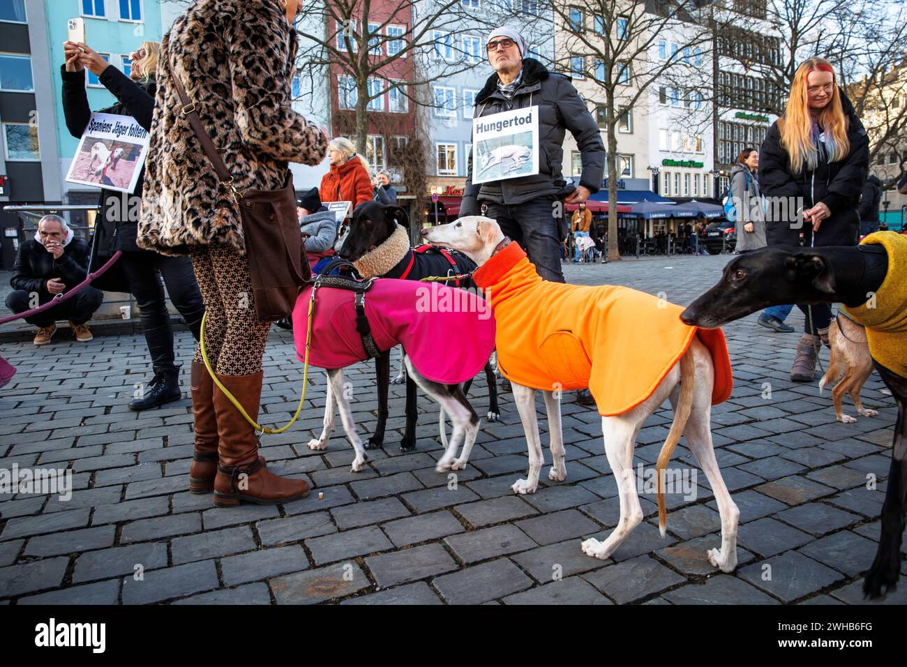 Hundemaentel hi-res stock photography and images - Alamy