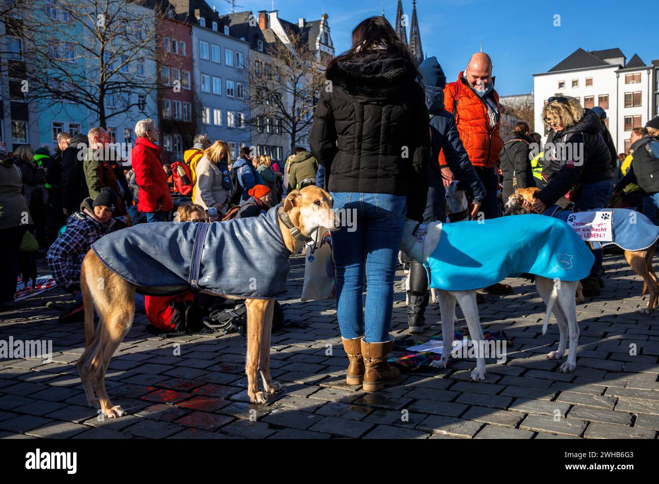 Hundemaentel hi-res stock photography and images - Alamy