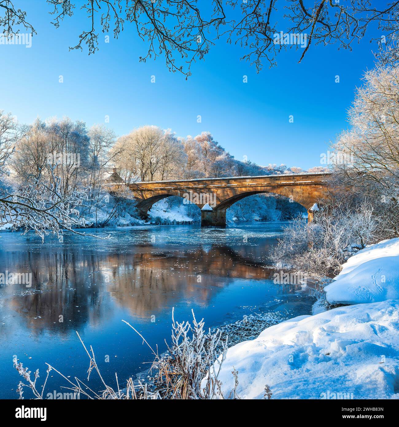 A view in Winter of the River North Tyne in Northumberland looking ...