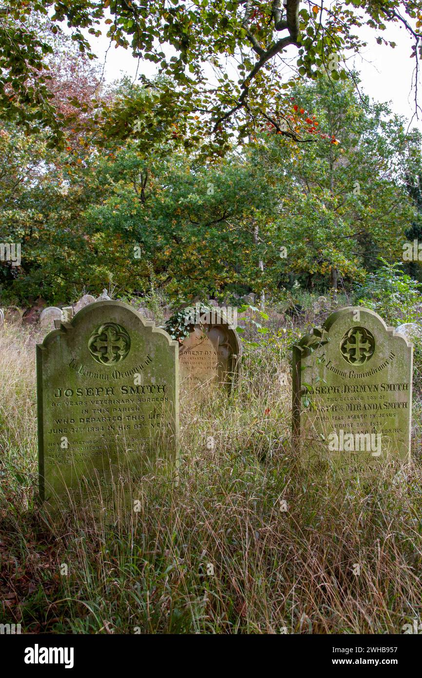 In a quiet corner of a rural Suffolk cemetery the Victorian headstones ...