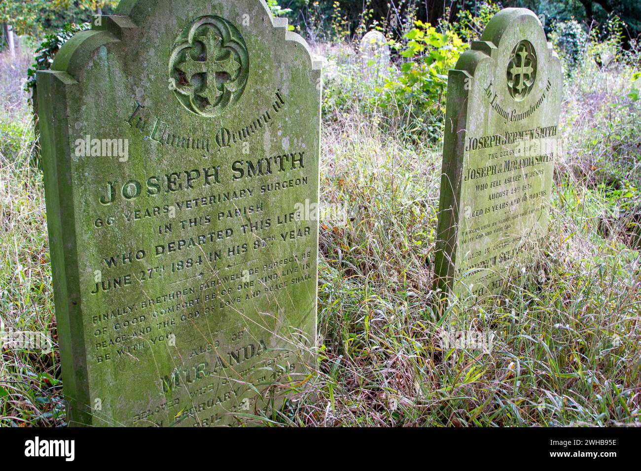 In a quiet corner of a rural Suffolk cemetery the Victorian headstones ...