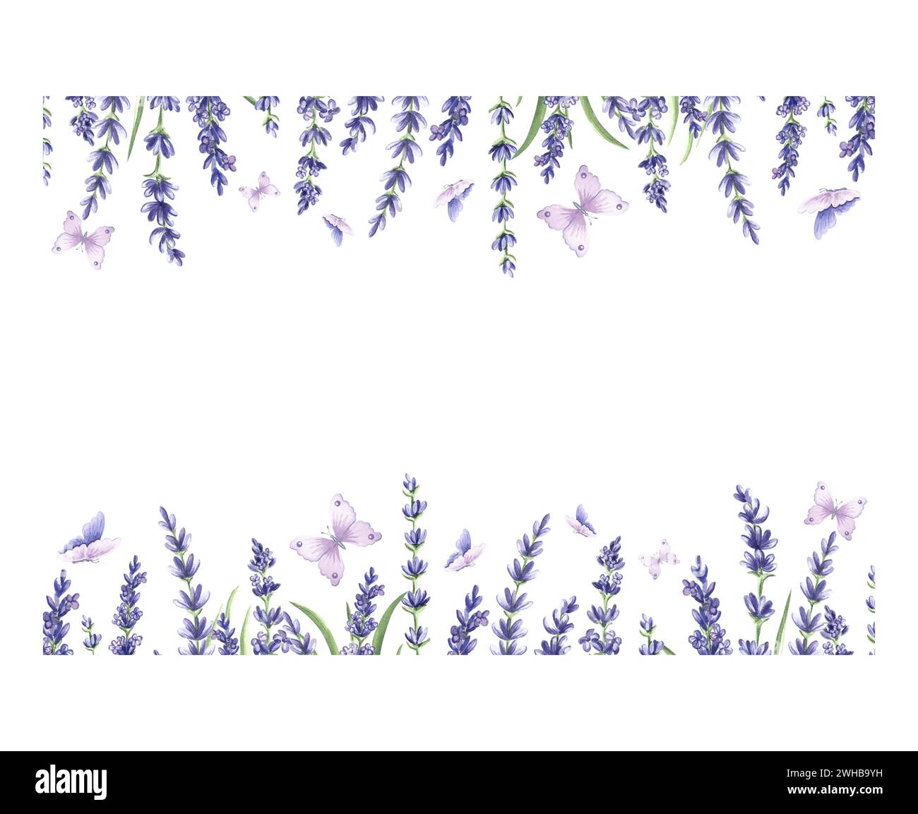 Watercolor horizontal frame from purple lavender flowers with green ...