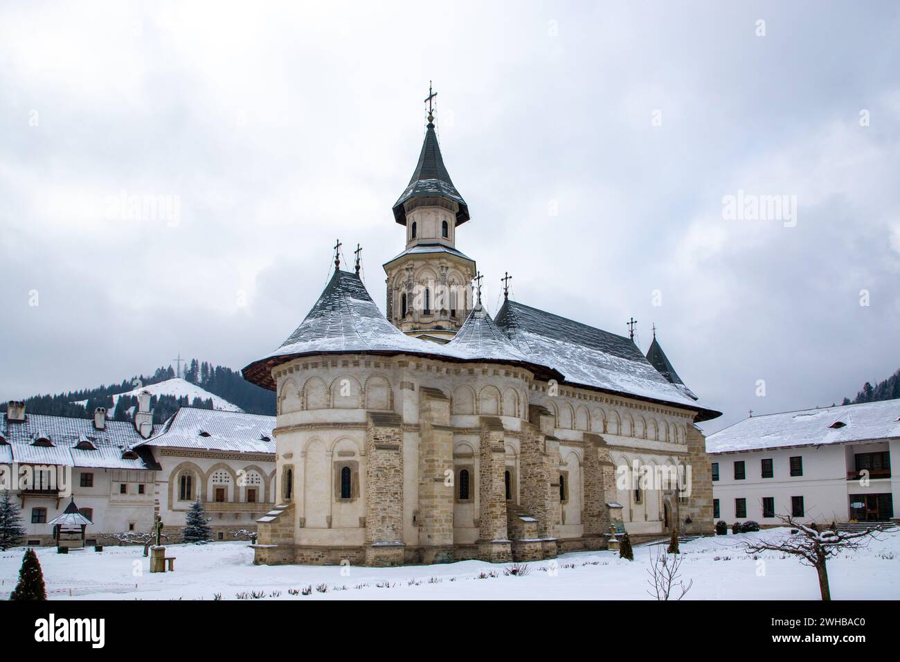 Sihastria putnei hi-res stock photography and images - Alamy