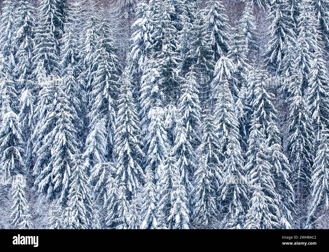 Aerial perspective hi-res stock photography and images - Alamy