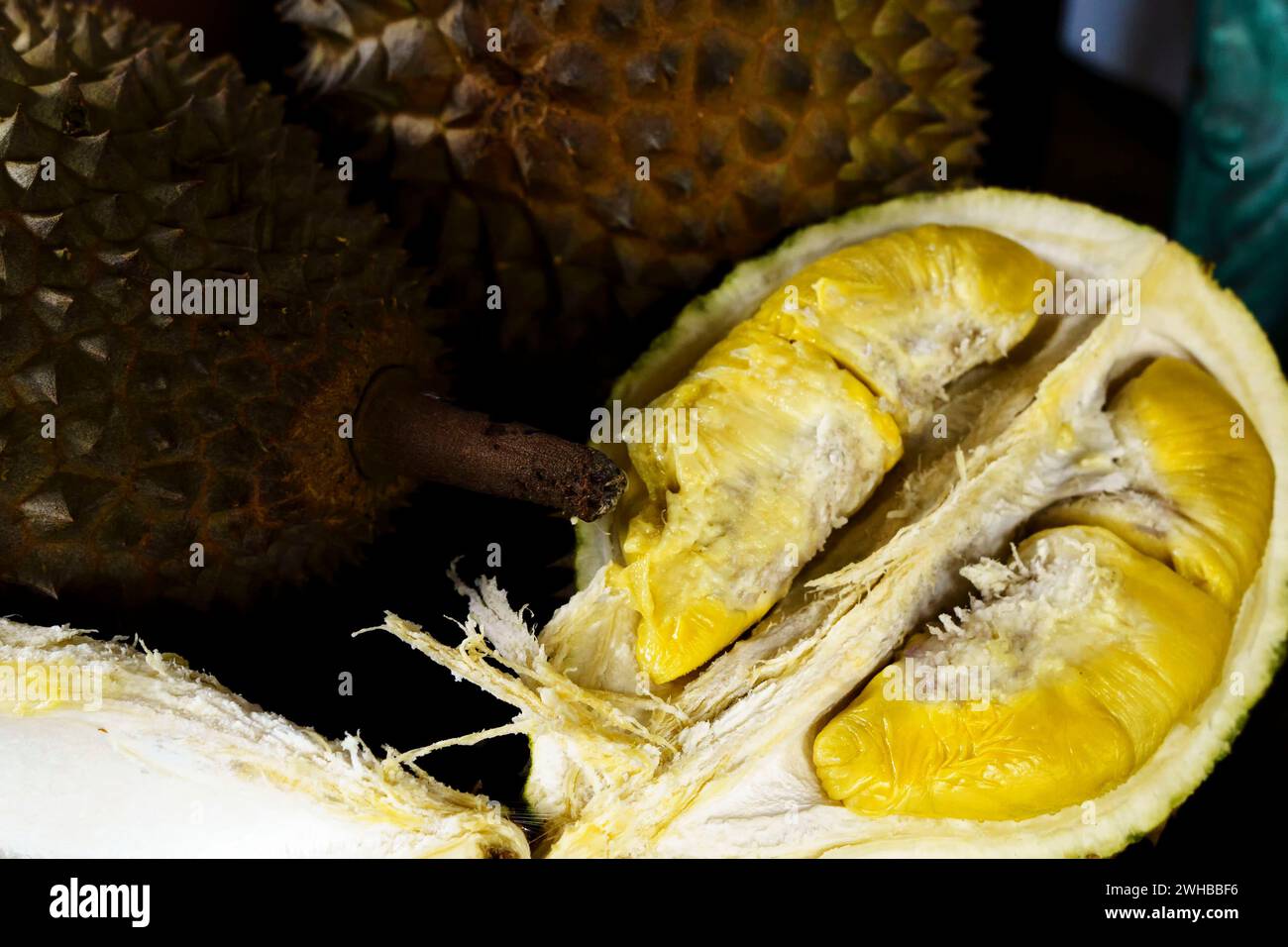 A close up photo of a Musang King durian, a spiky, oval-shaped fruit ...
