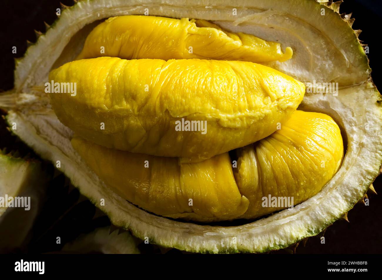 A close up photo of a Musang King durian, a spiky, oval-shaped fruit ...