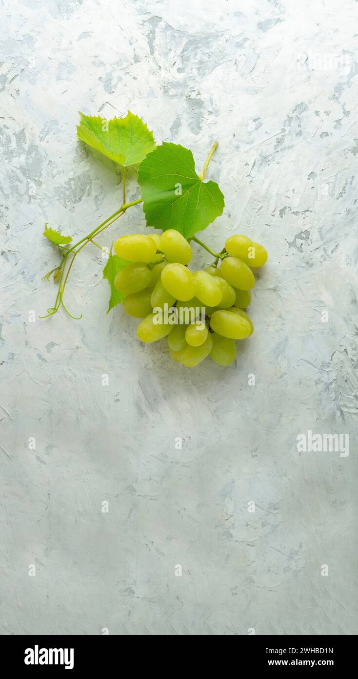 Top view of green vine, and ripe grape on vintage gray stone table ...