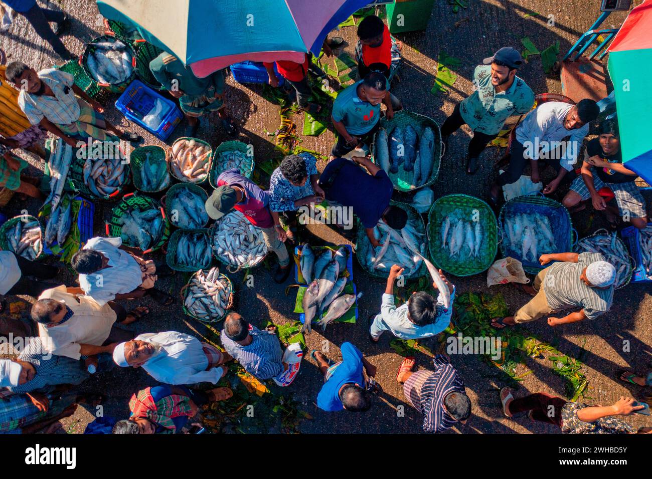 Aerial view of people working and trading at fish market along ...