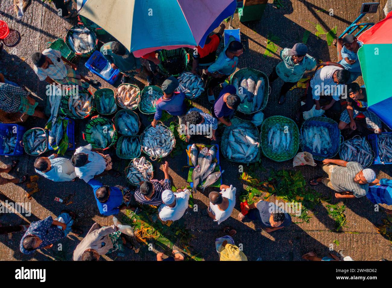 Aerial view of people working and trading at fish market along ...
