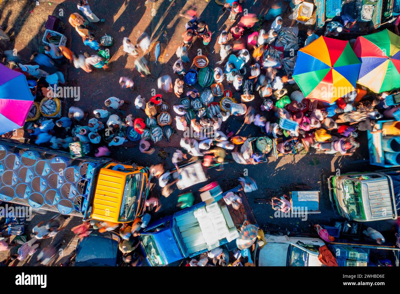 Aerial view of people working and trading at fish market along ...