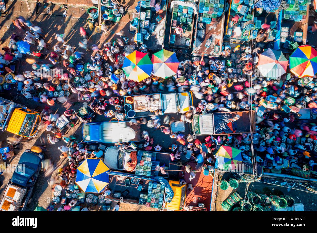 Aerial view of people working and trading at fish market along ...