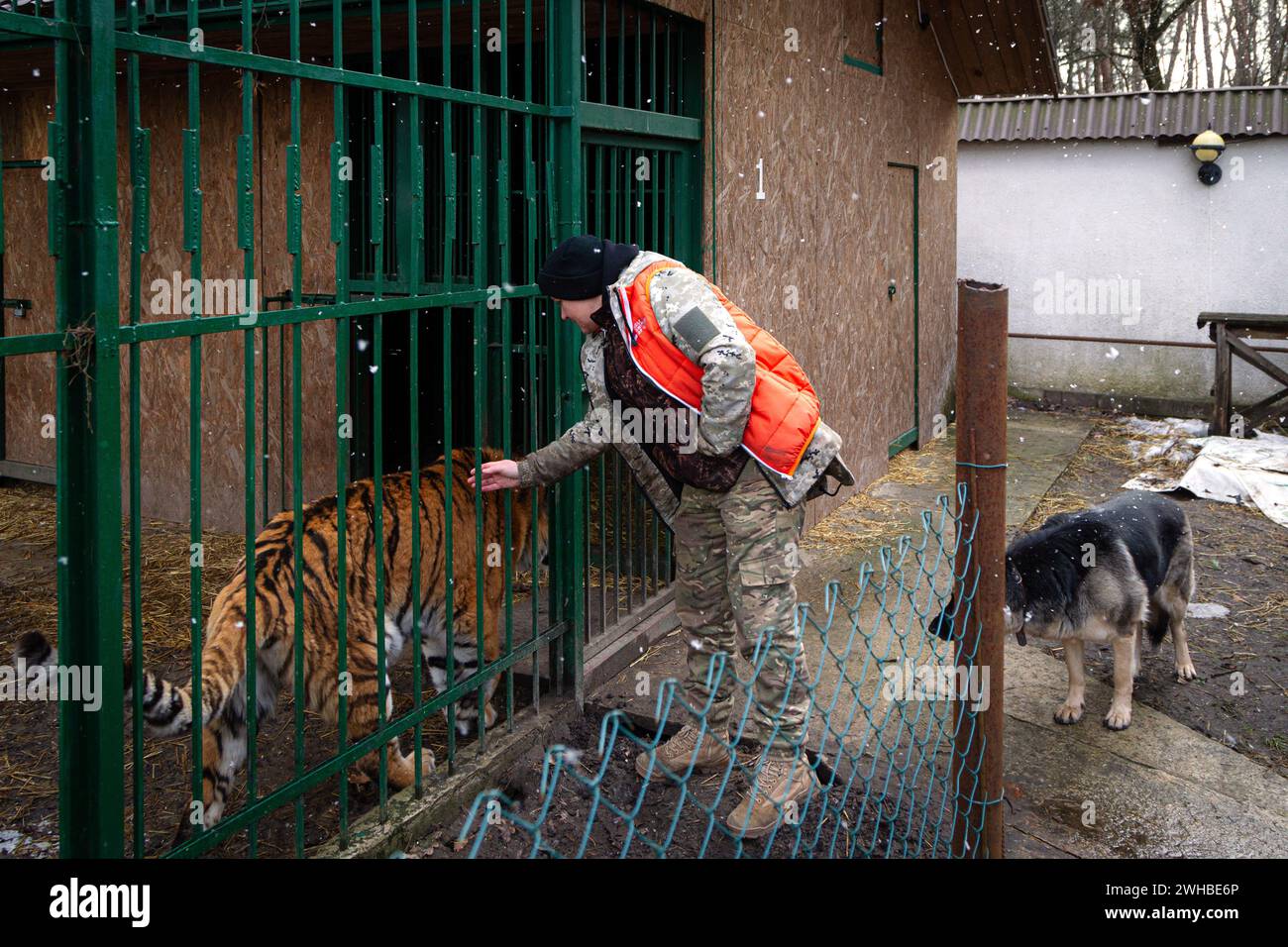 Non Exclusive: CHUBYNSKE, UKRAINE - FEBRUARY 8, 2024 - Founder of the ...