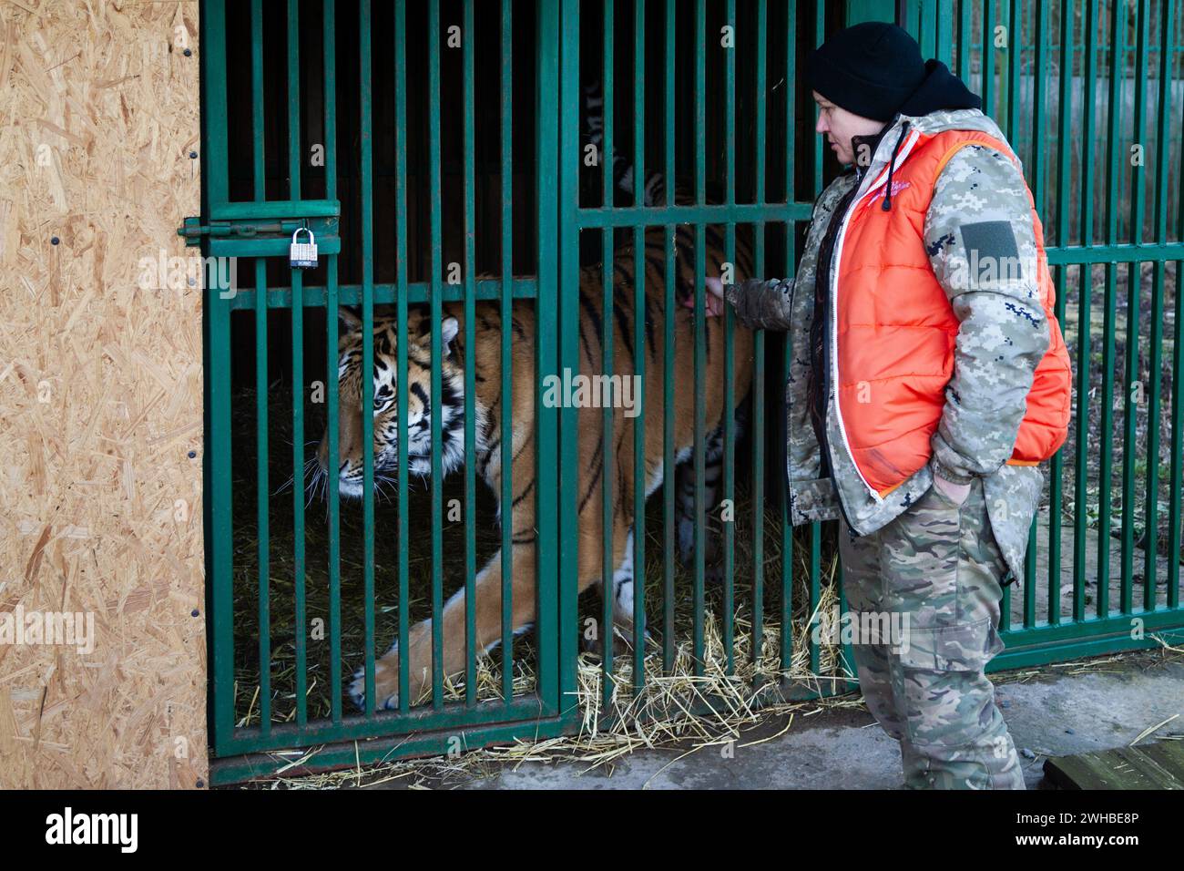 Non Exclusive: CHUBYNSKE, UKRAINE - FEBRUARY 8, 2024 - Founder of the ...