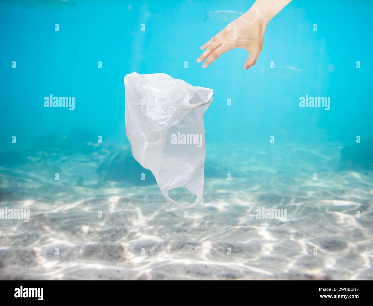 Man hand collecting plastic bag of the ocean with copy space Stock ...