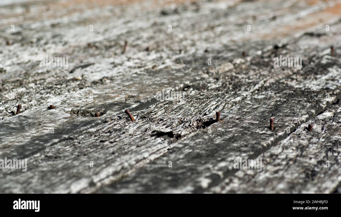 Rotting planks hi-res stock photography and images - Alamy