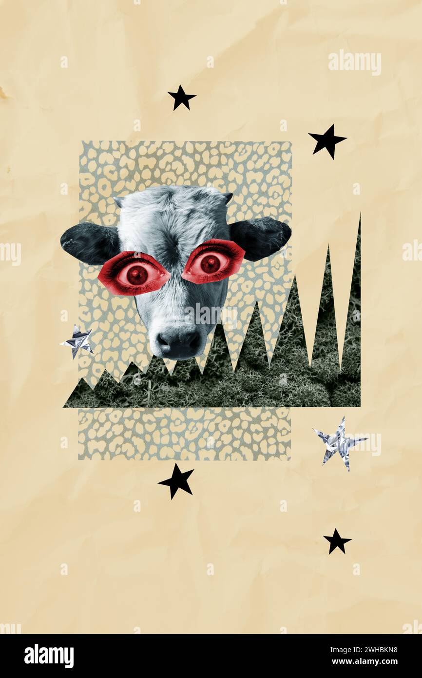 Collage image picture of funny domestic animal cow with big eyes ...