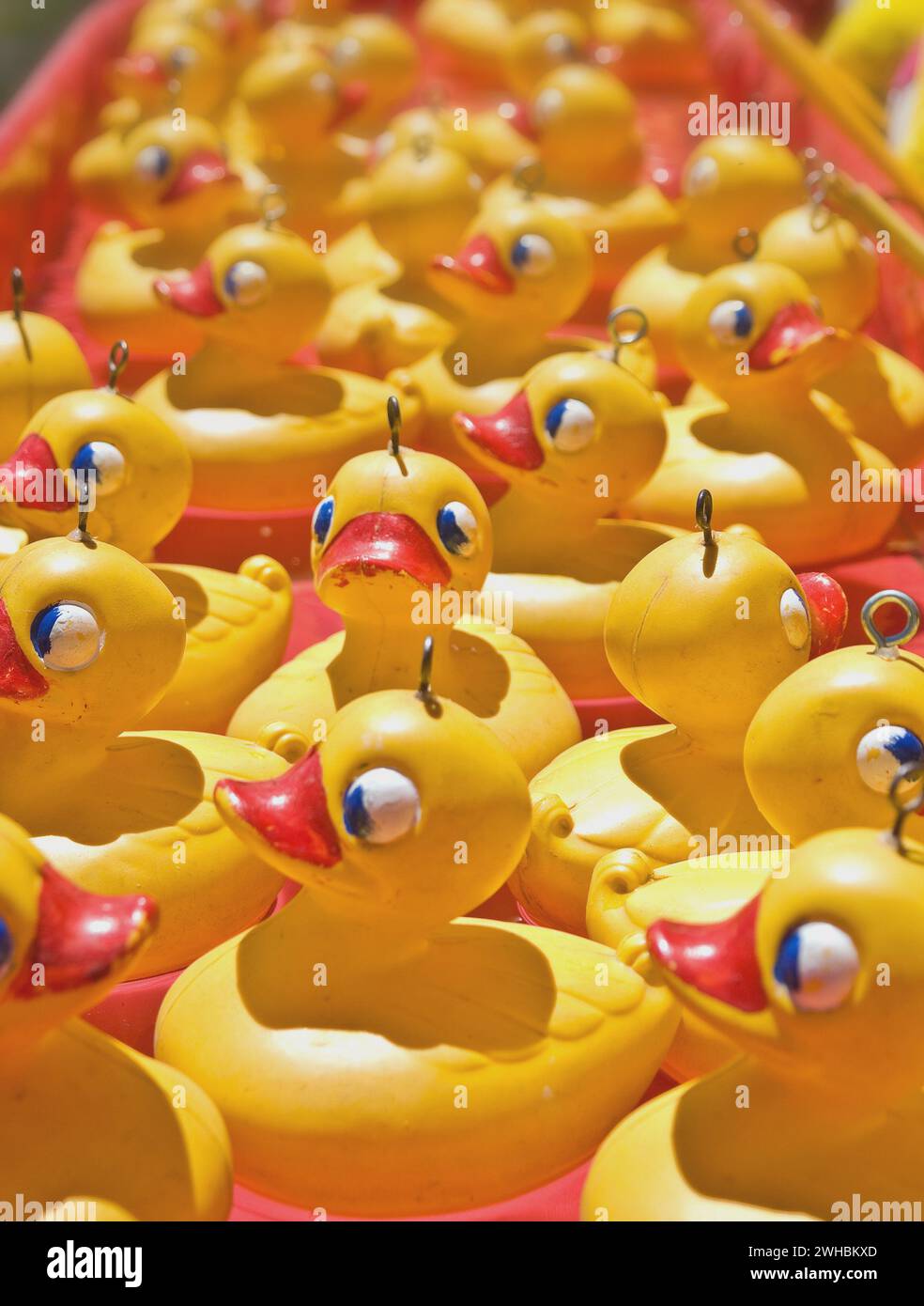 Lots of plastic ducks hi-res stock photography and images - Alamy