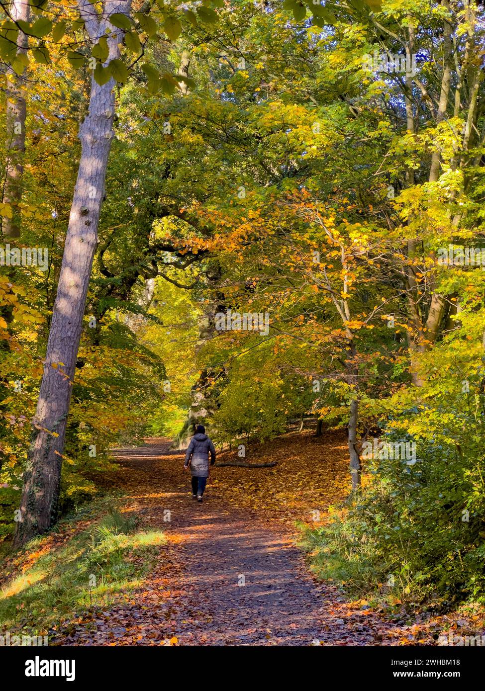 Autumn at Barnett Demesne, Malone House, Lagan Valley Regional Park ...
