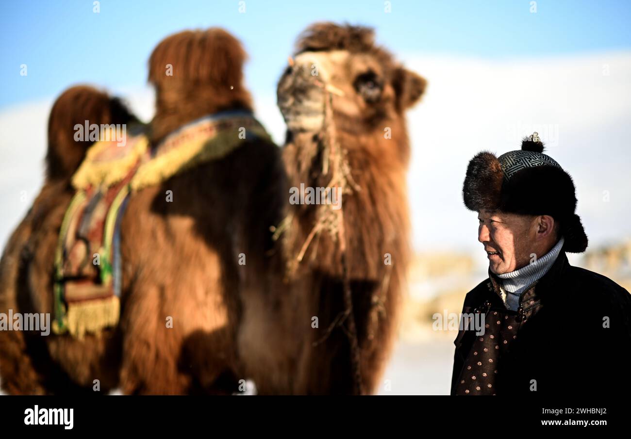 Tuv Aimak, Mongolia. 07th Feb, 2024. Nomad with his camel. Credit ...