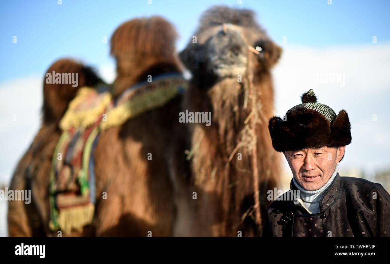 Tuv Aimak, Mongolia. 07th Feb, 2024. Nomad with his camel. Credit ...