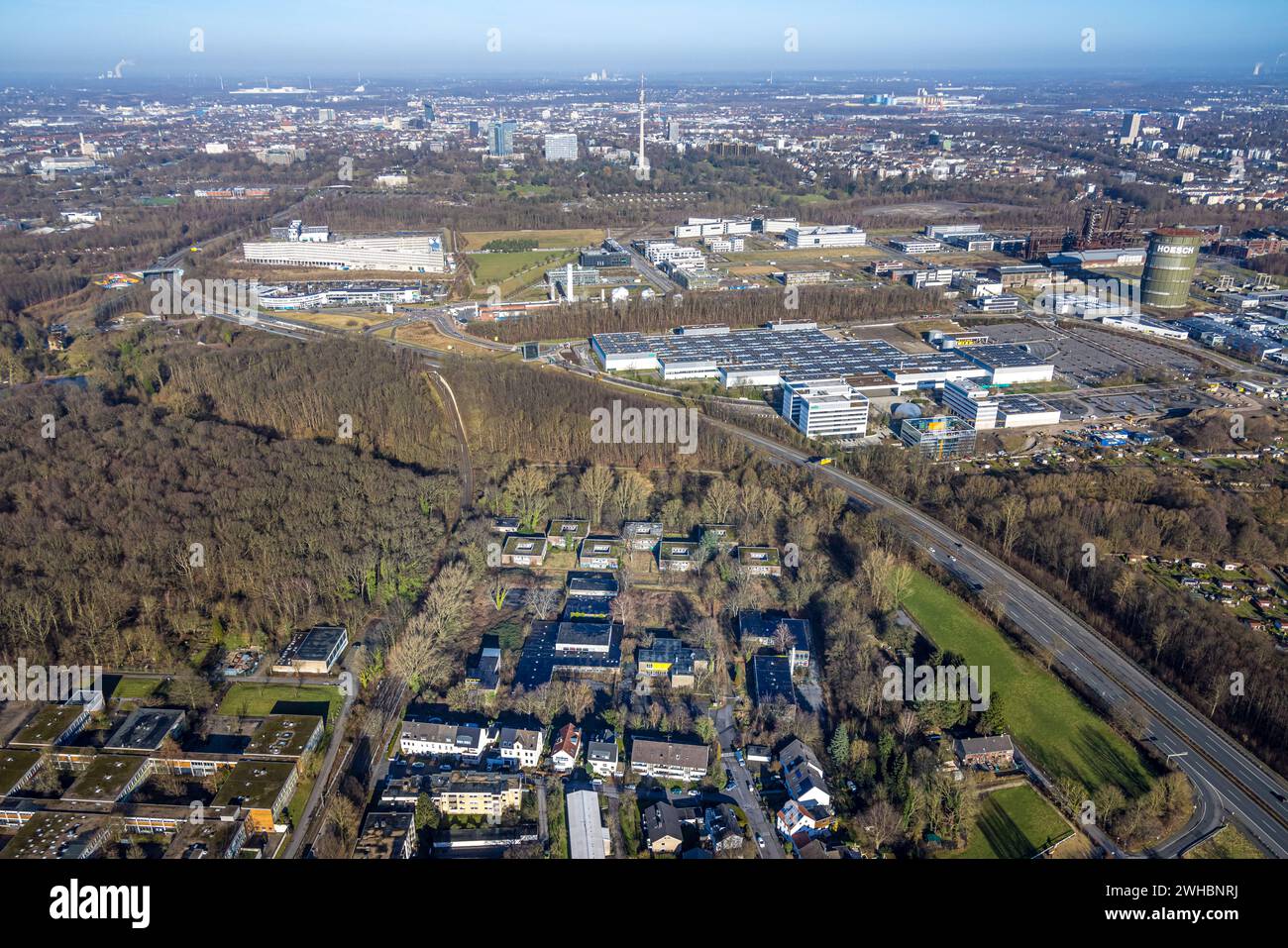 Westfalenpark birds hi-res stock photography and images - Alamy