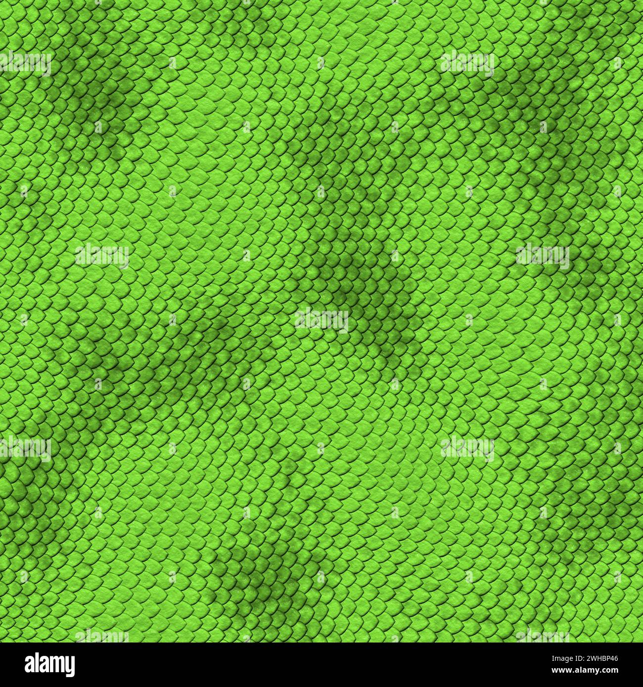 Scales scaly skin hi-res stock photography and images - Alamy