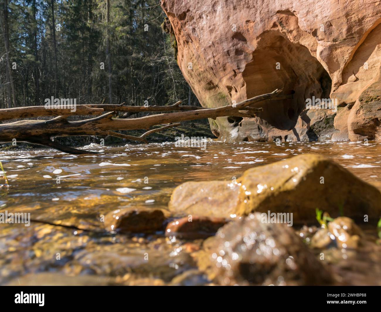 sunny landscape with sandstone cliff on river bank, fast flowing river ...