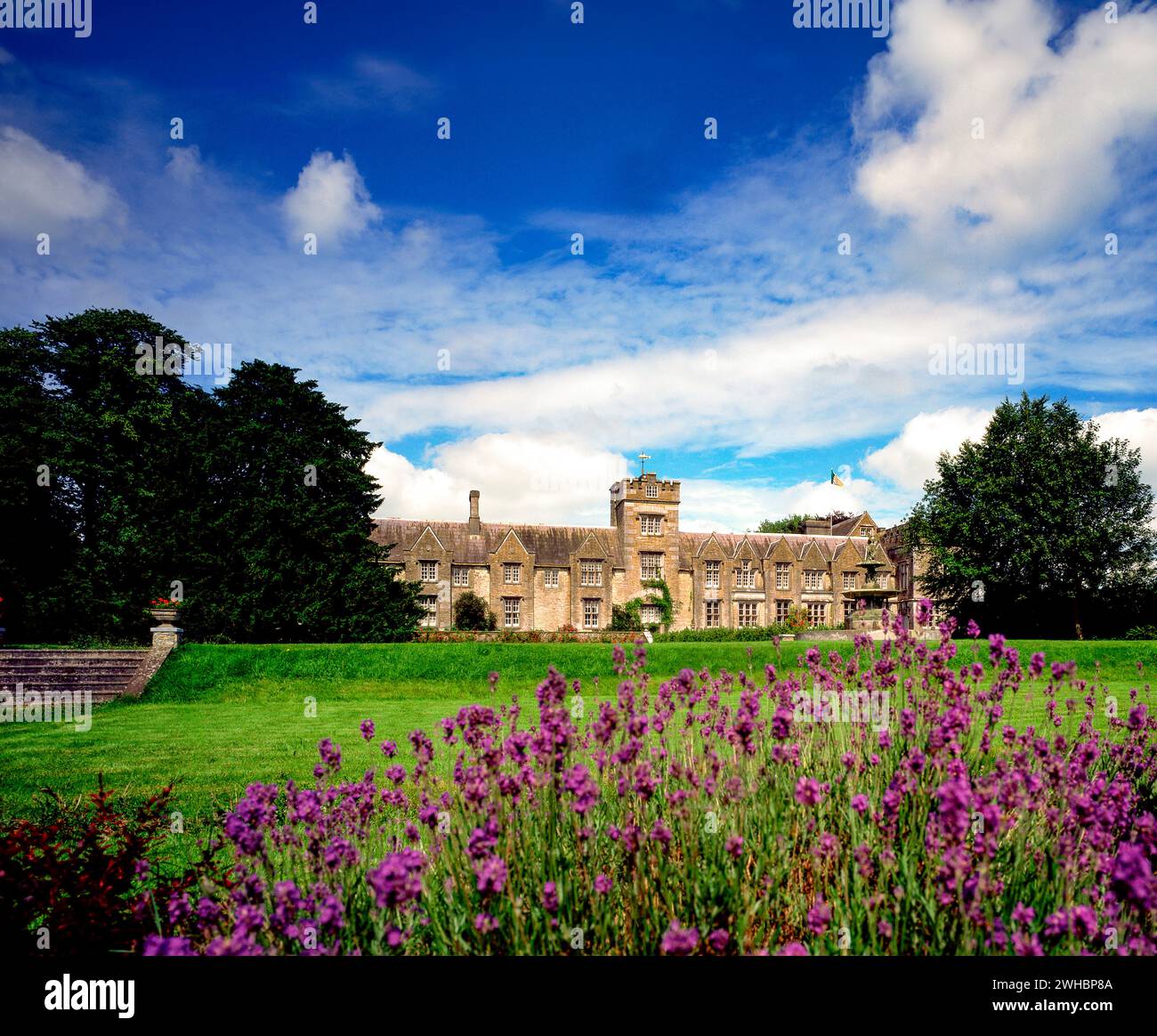 Mallow Castle, County Cork, Ireland Stock Photo - Alamy