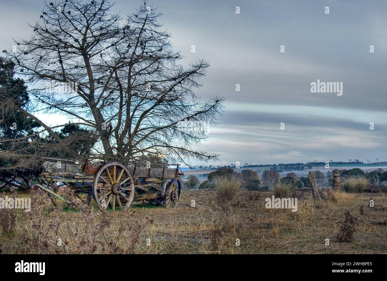 Old cart in field Stock Photo - Alamy