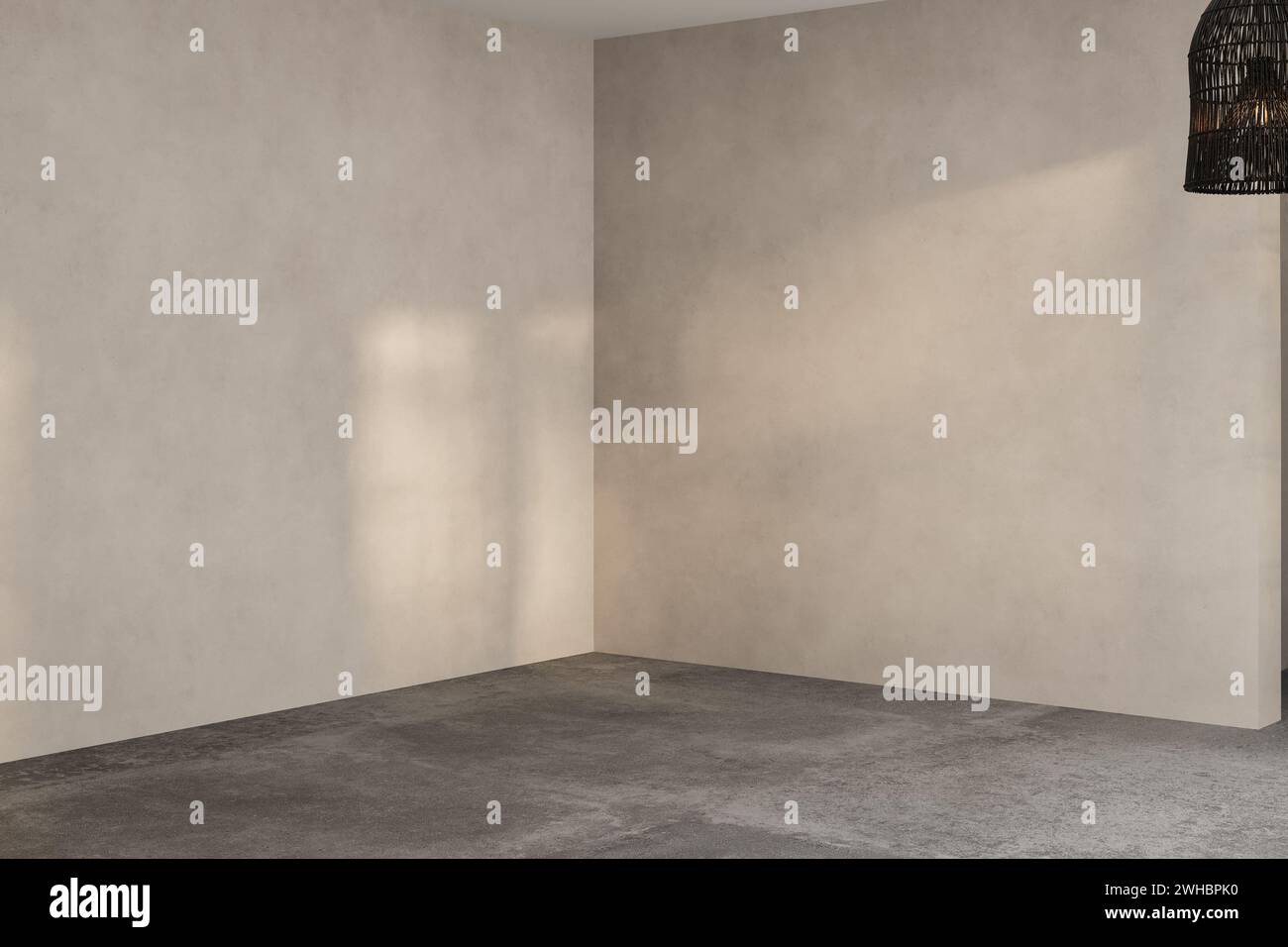 Modern contemporary empty room yard view 3d render overlooking the ...