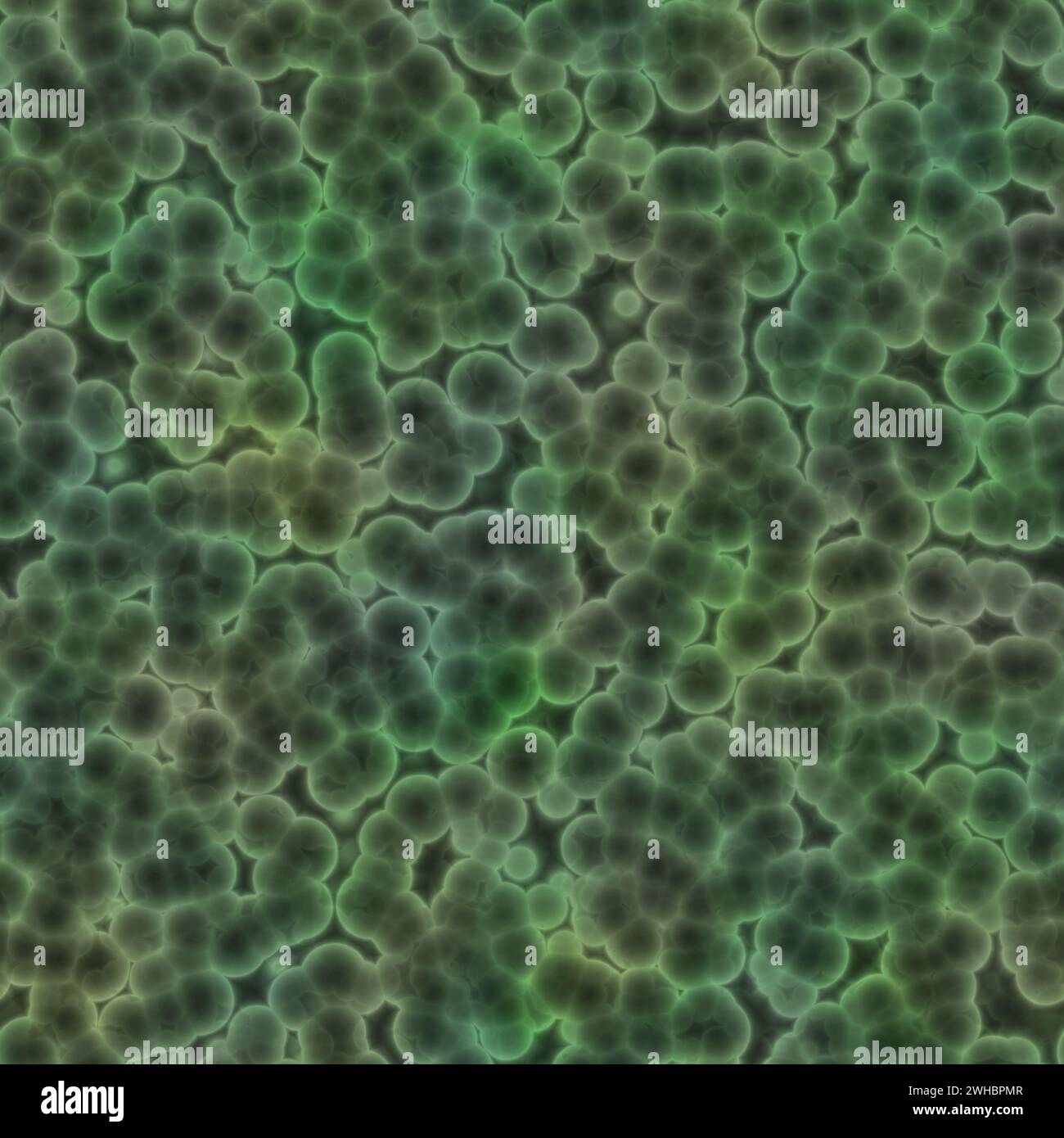 a large rendered image of bacteria or cells under a microscope Stock ...