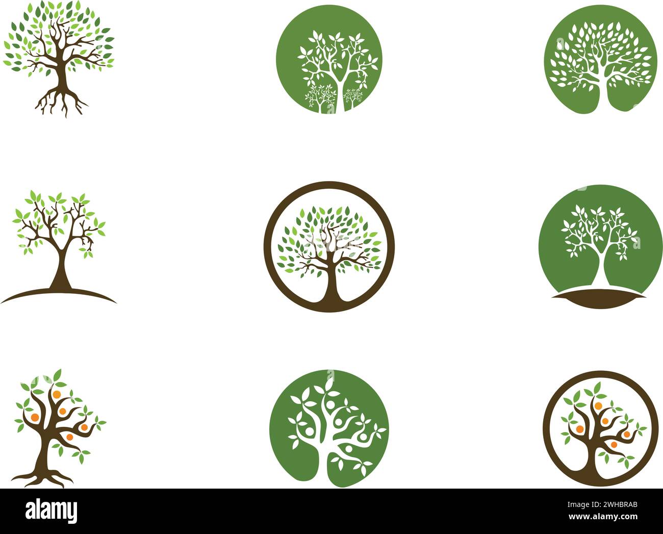 family tree logo template vector illustration Stock Vector Image & Art ...