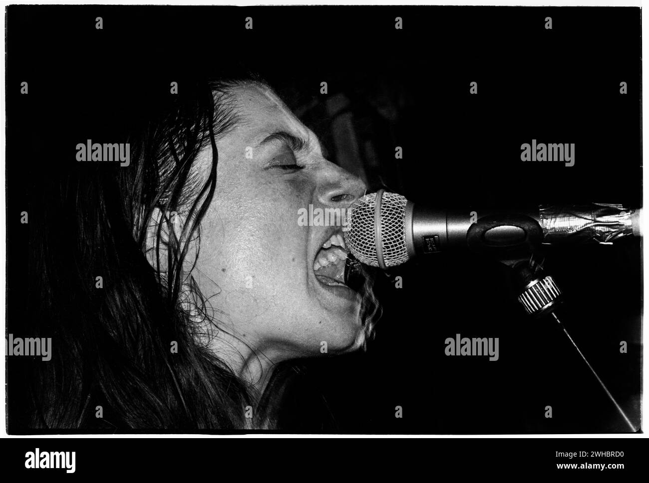MARY LORSON, MADDER ROSE, NEWPORT, 1994: Singer Mary Lorson of the ...